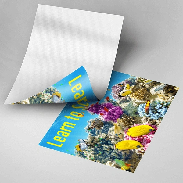 Waterproof Posters | Your Print Company